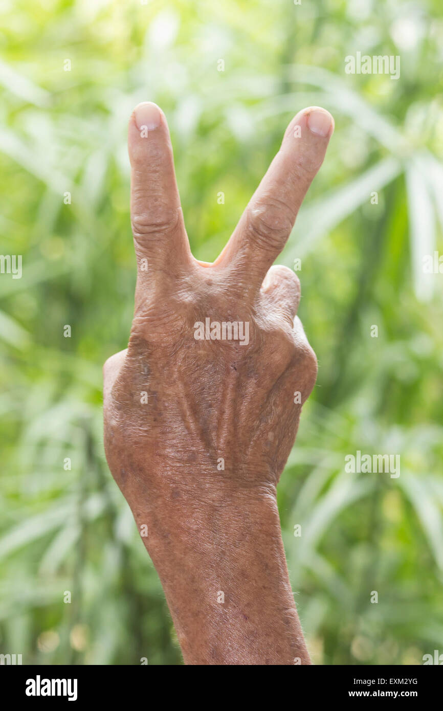 Peace Sign Symbol Fingers