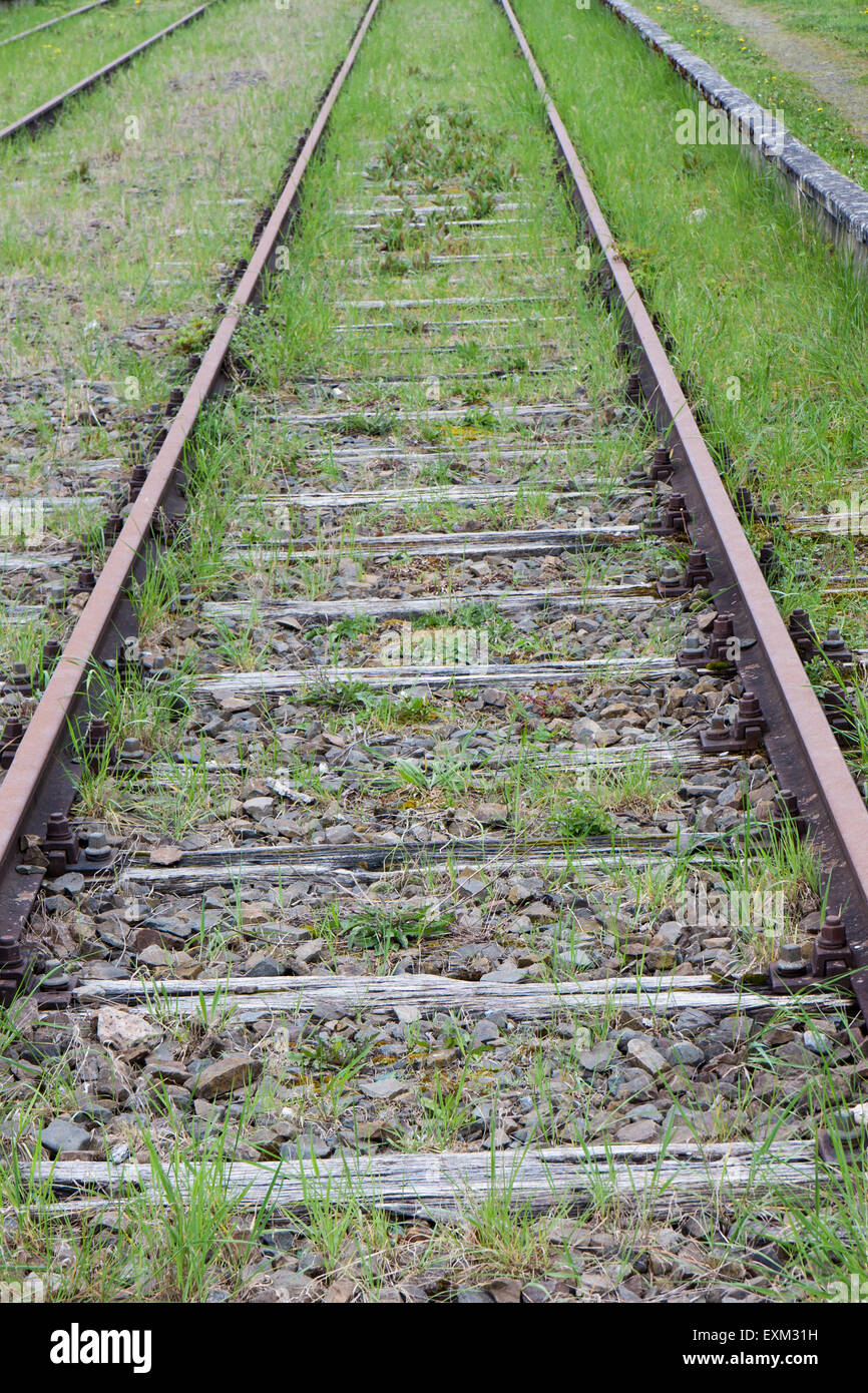 Ancient railway tracks covered with weed Stock Photo - Alamy