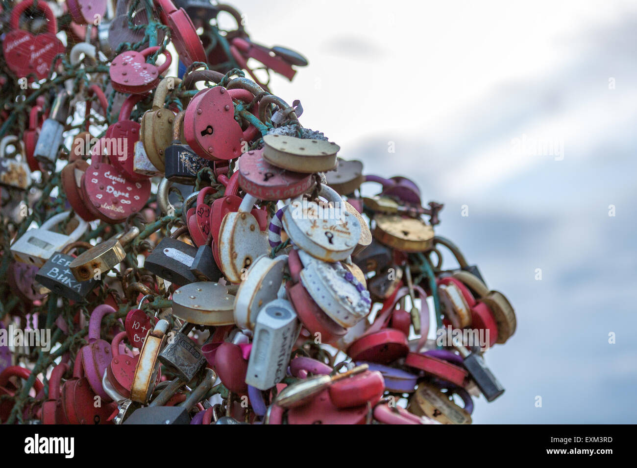 Colorful love locks attached to metal tree on the Luzhkov bridge ...
