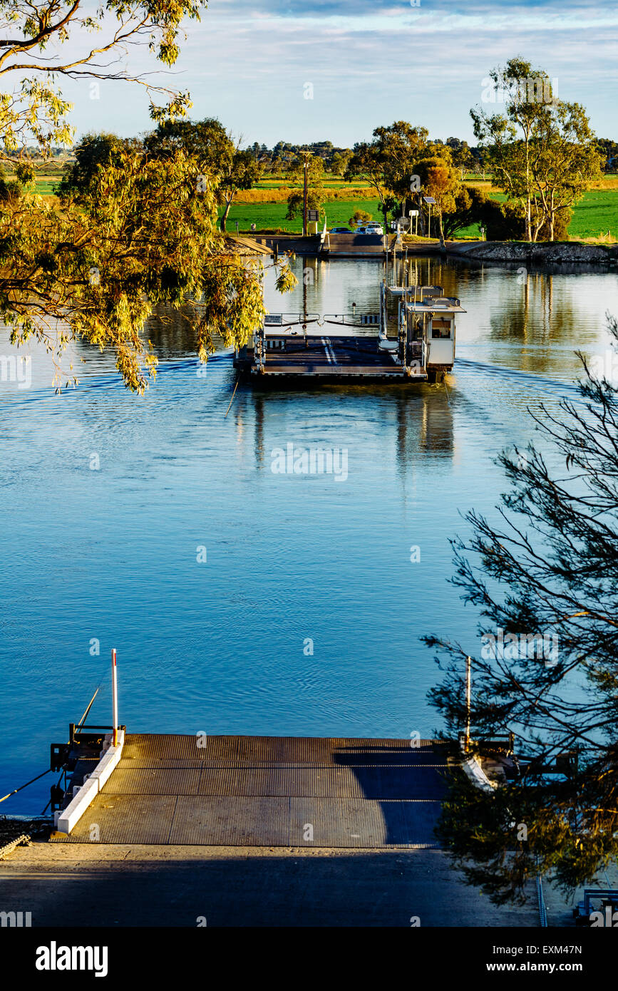 Ferry Across the Murray River at Wellington, S.A Stock Photo - Alamy