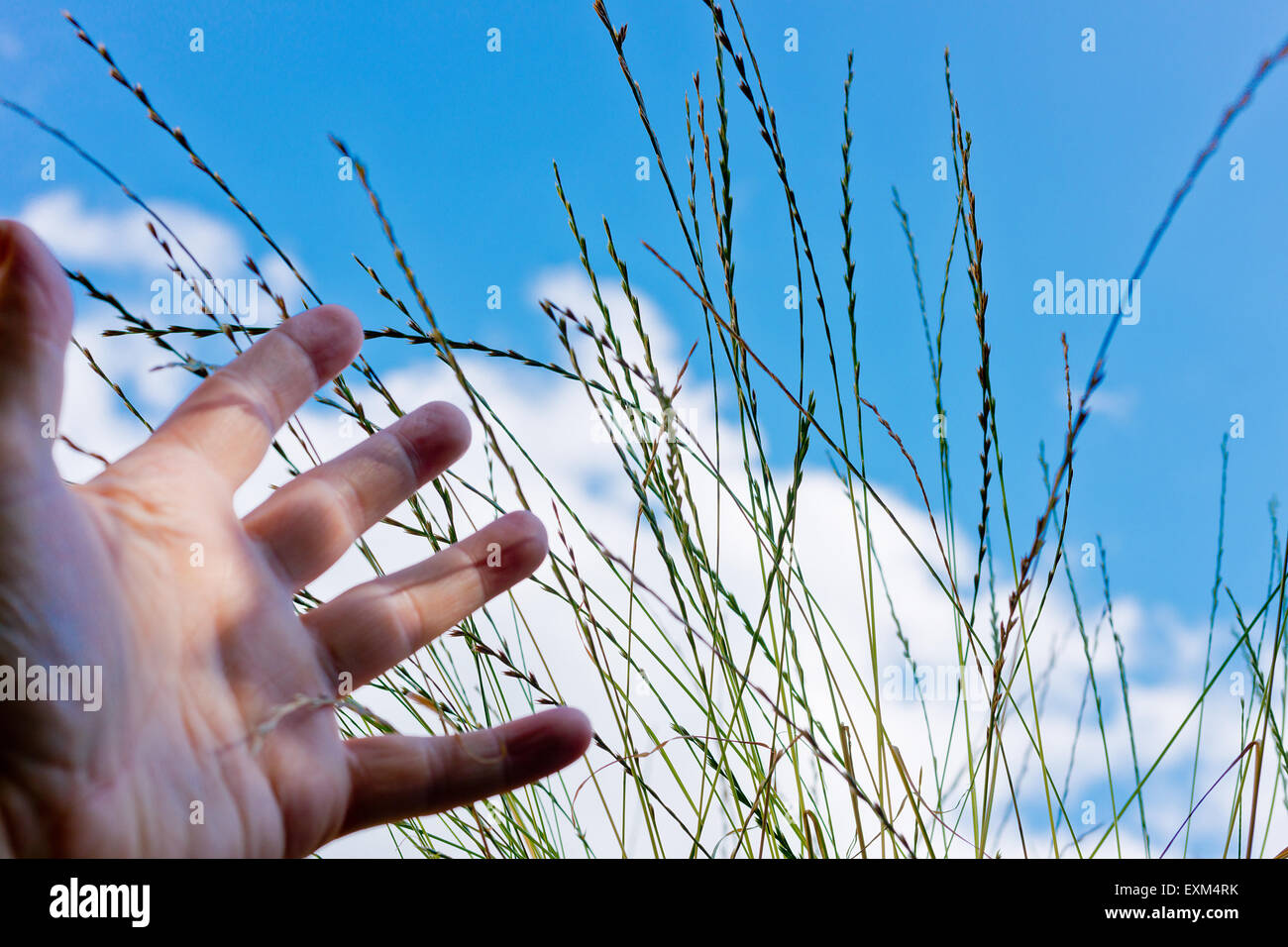 Reach out hand hi-res stock photography and images - Alamy