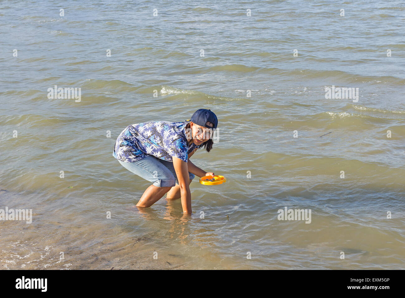 Sea shells in shallow water hi-res stock photography and images - Alamy