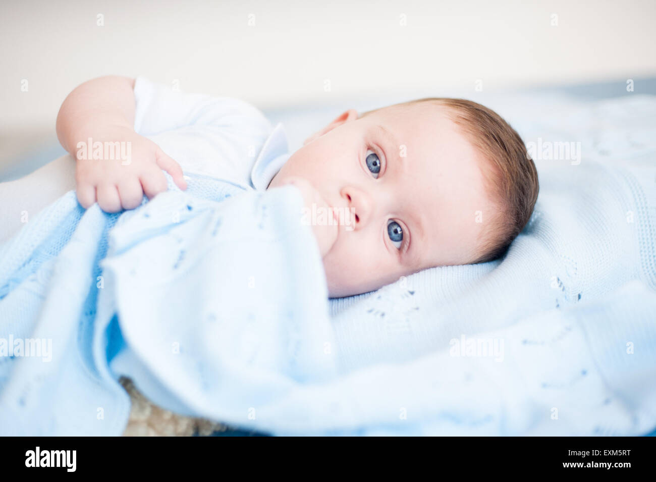 Beautiful blue-eyed boy on the blue background Stock Photo - Alamy
