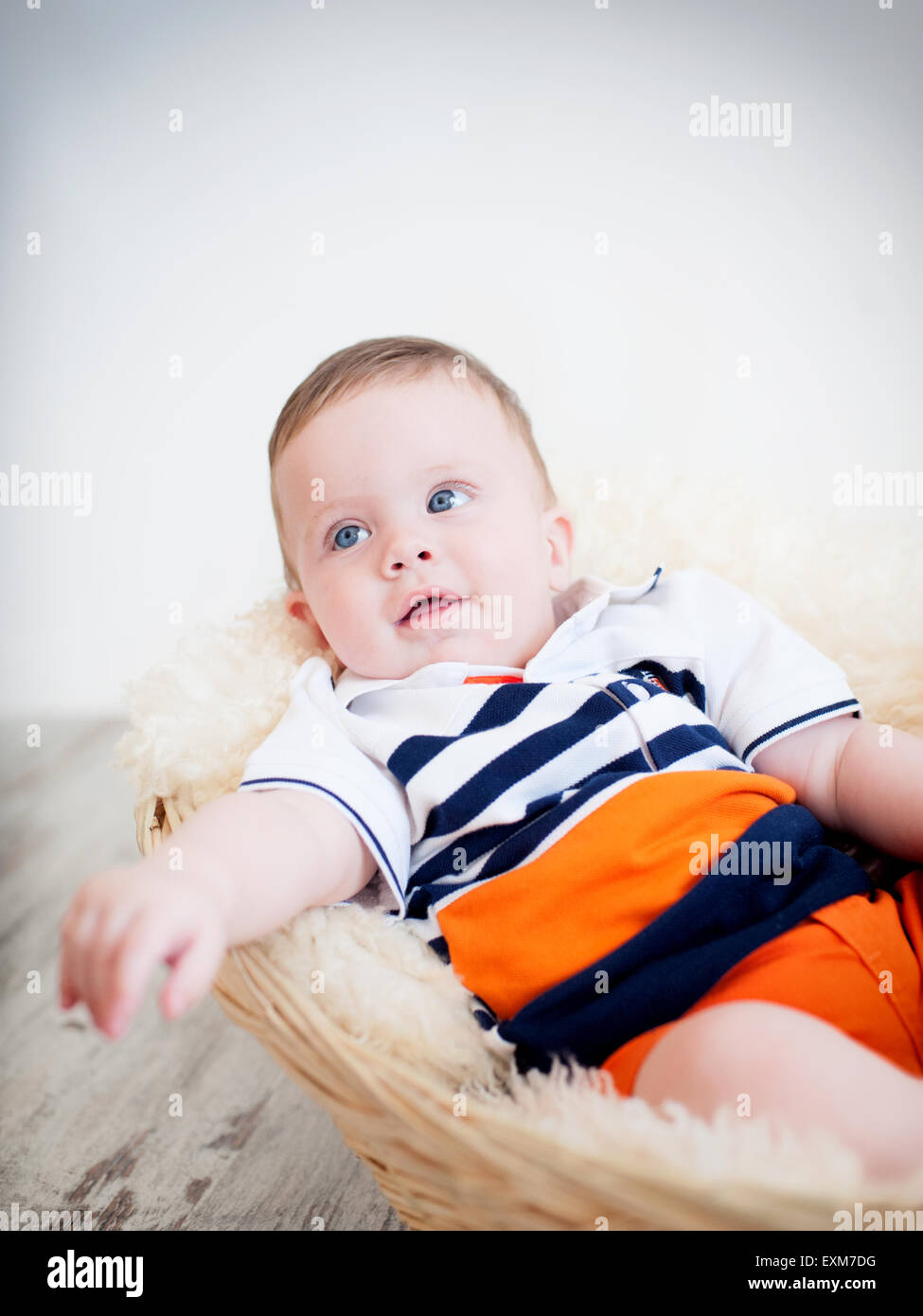 Happy little boy sitting in the basket Stock Photo - Alamy
