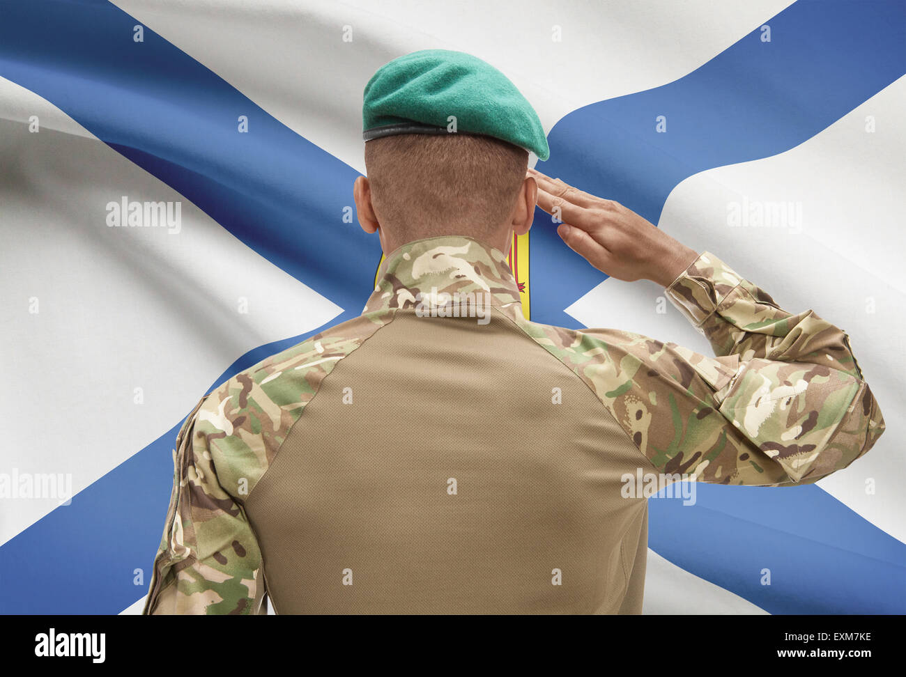 Canadian Soldier Salute High Resolution Stock Photography and Images ...