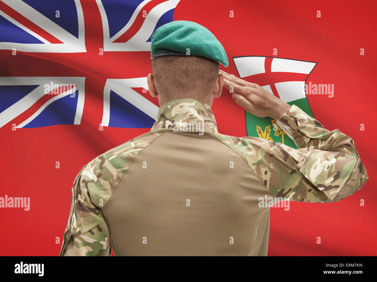 Canadian Soldier Salute High Resolution Stock Photography and Images ...