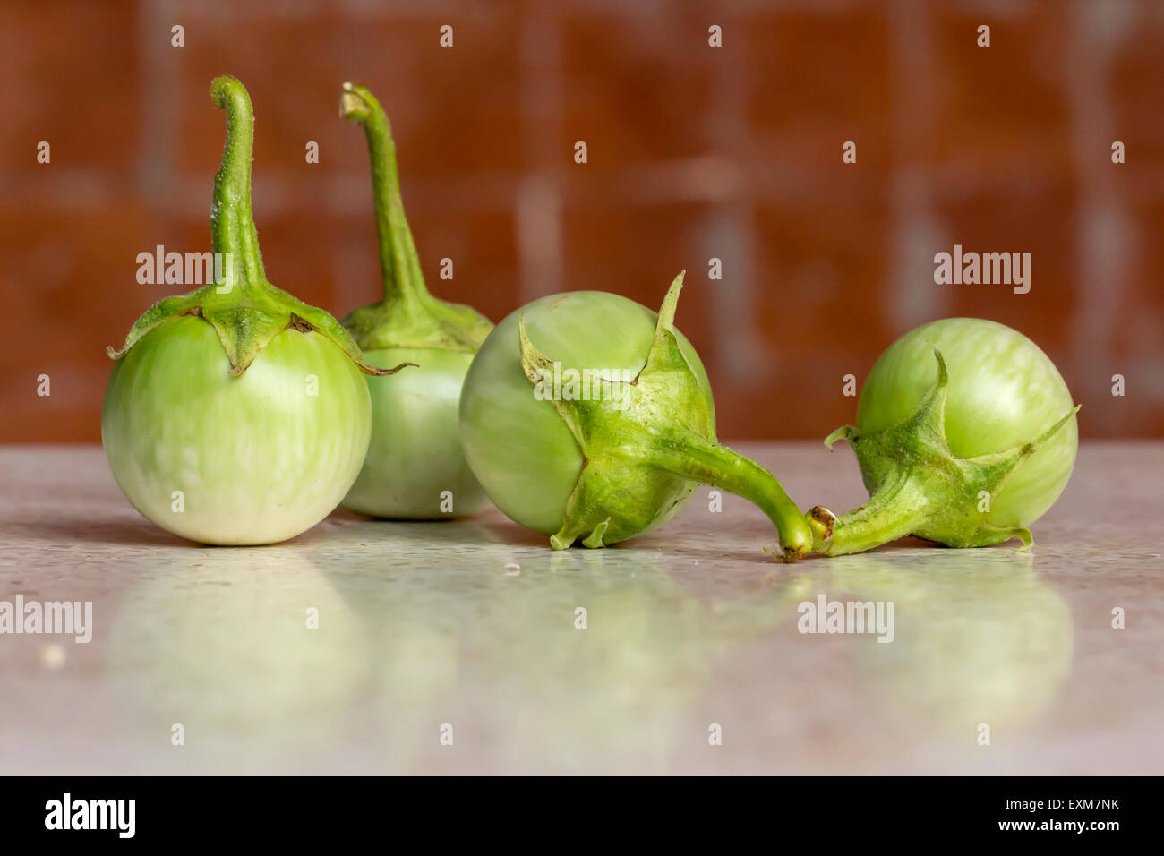 Fresh organic green eggplant or cockroach berry Stock Photo - Alamy