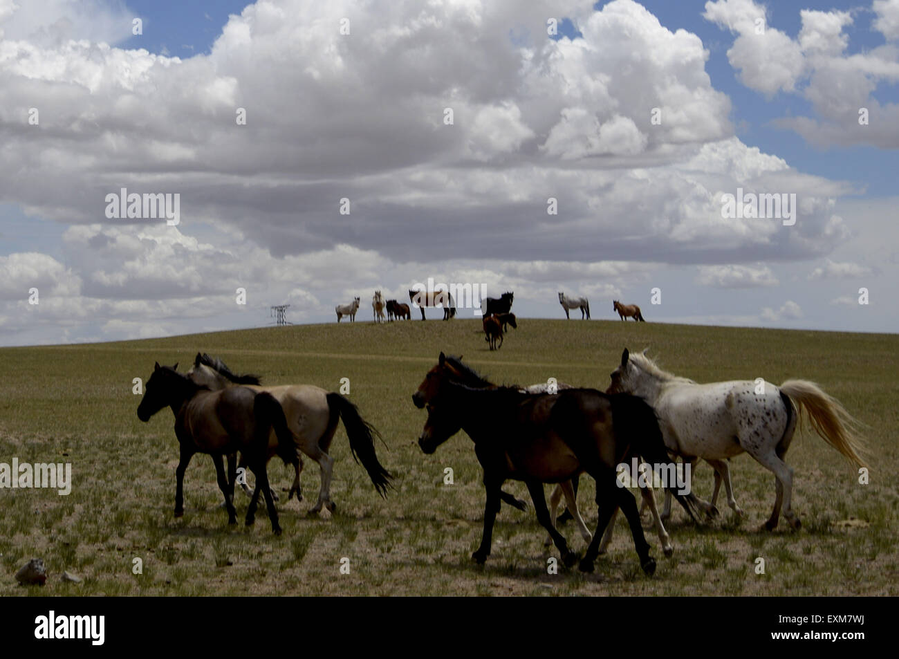 Bayannur chinas inner mongolia autonomous hi-res stock photography and ...
