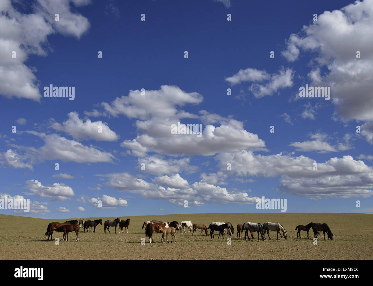 Bayannur chinas inner mongolia autonomous hi-res stock photography and ...