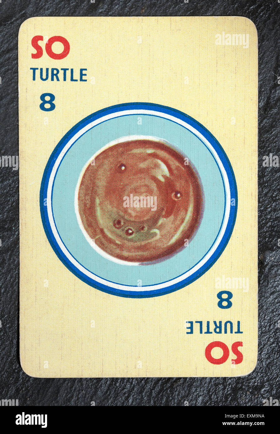 Vintage Menuette Food Playing Card - Turtle Stock Photo - Alamy