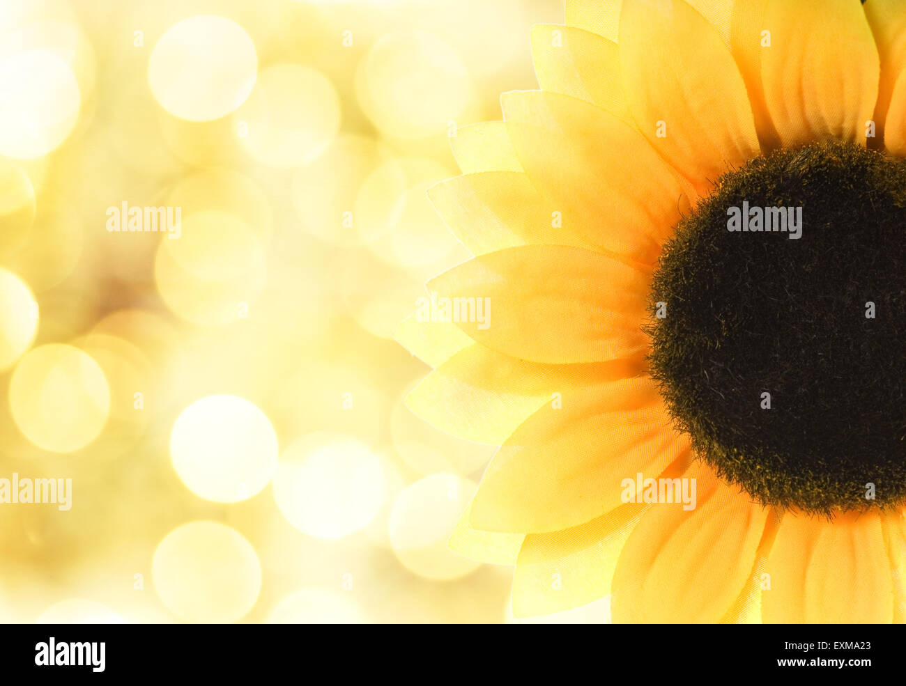 Sunflower over abstract background Stock Photo - Alamy