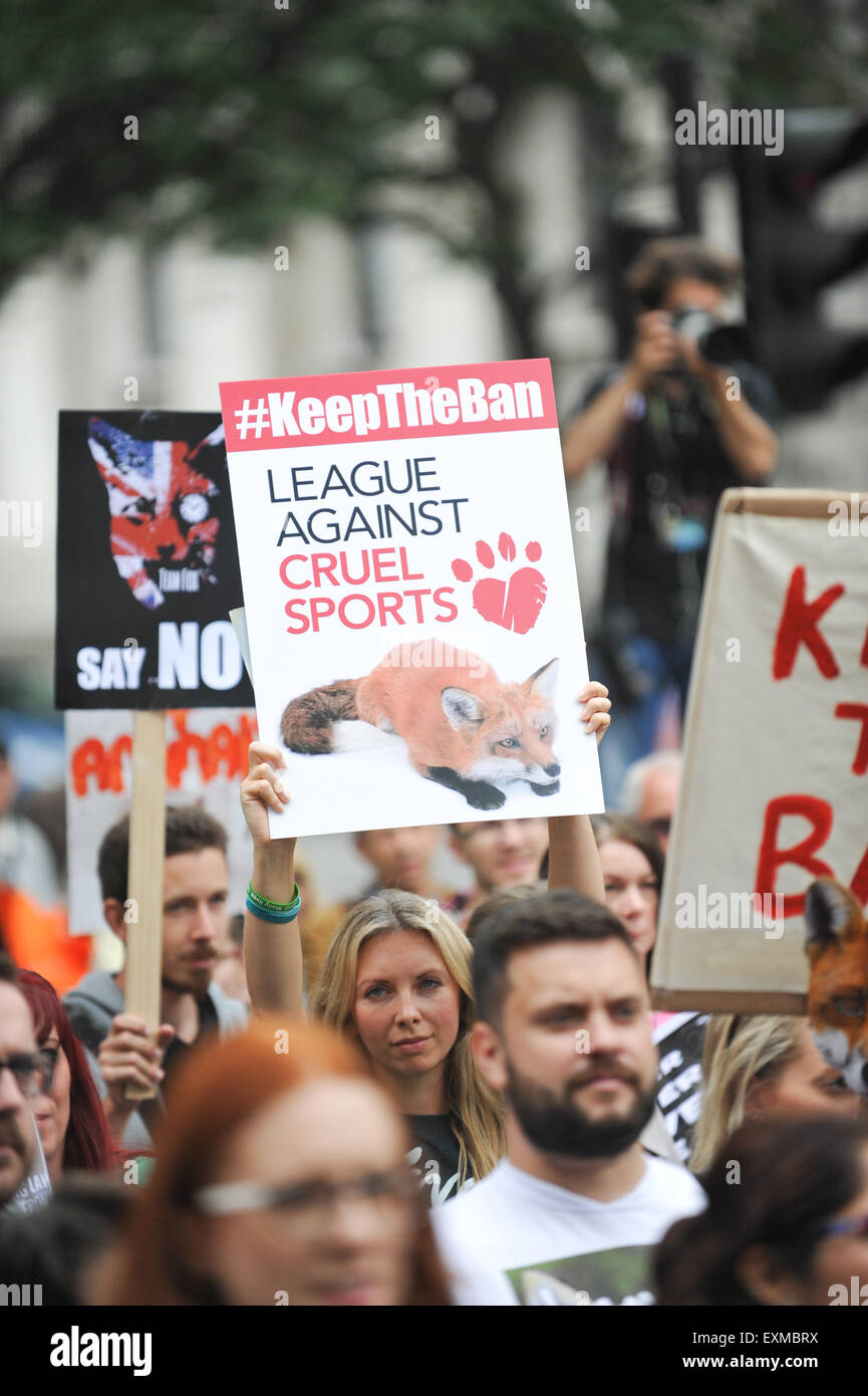 Fox hunting ban demonstration outside Downing Street 2015 Stock Photo ...