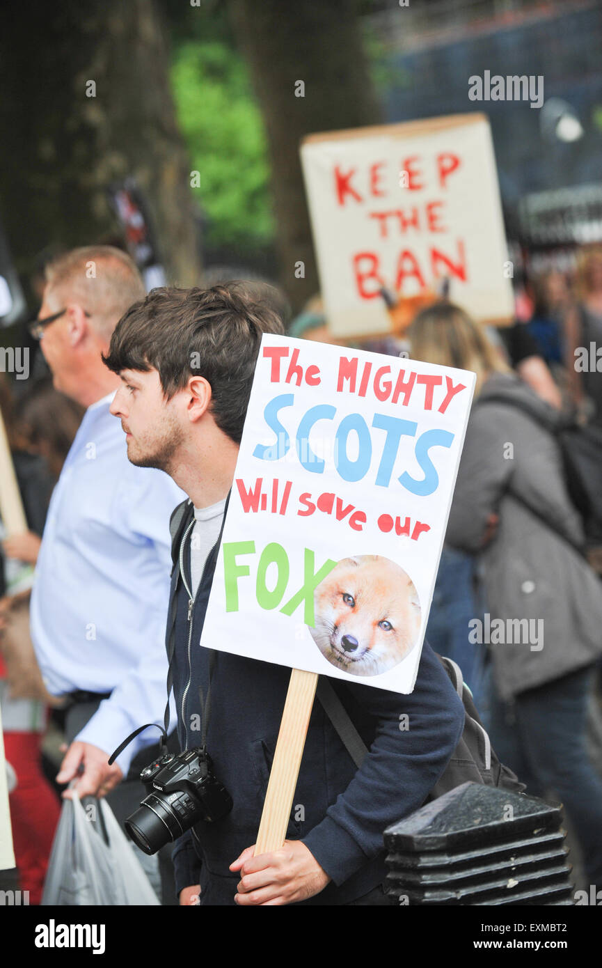 Fox hunting demonstration hi-res stock photography and images - Alamy