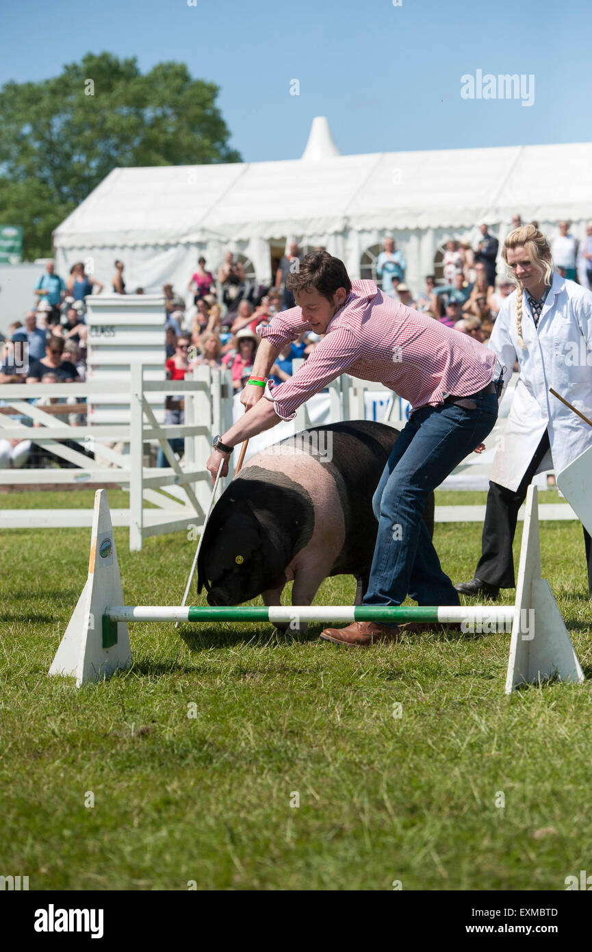 Matt baker and alex jones hi-res stock photography and images - Alamy