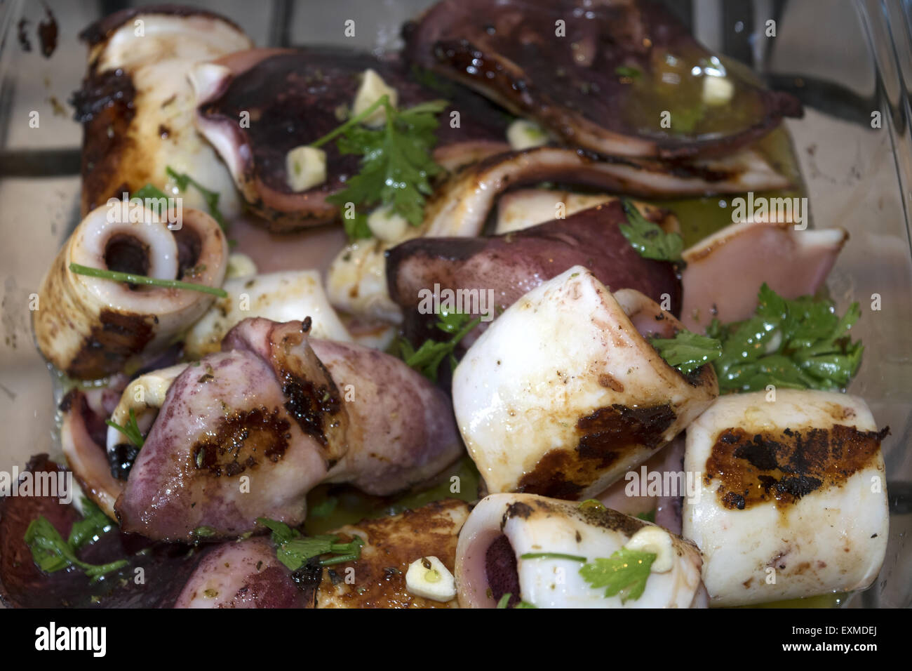 squids at the griddle with seasoning of oil and lemon Stock Photo - Alamy