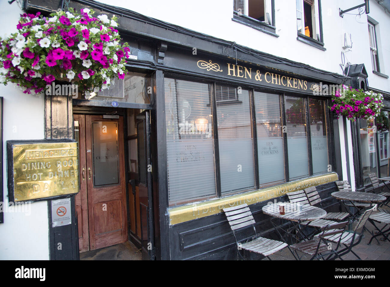 Hen uk hi-res stock photography and images - Alamy