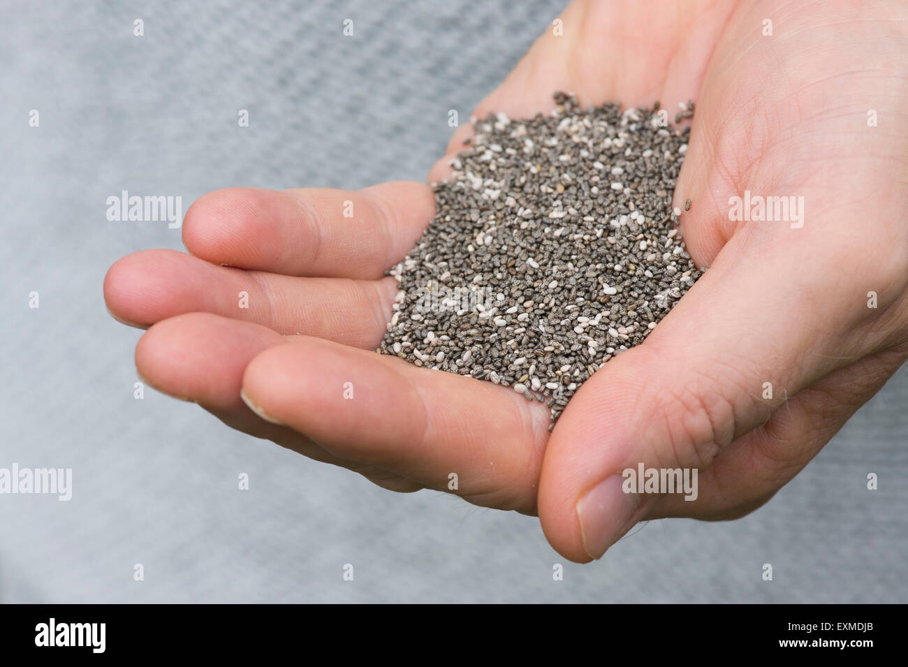 Salvia Hispanica seed. Hand holding Chia seeds Stock Photo - Alamy