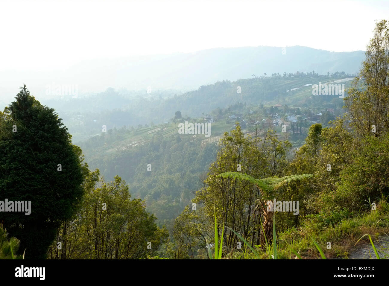 Mount lawu hi-res stock photography and images - Alamy