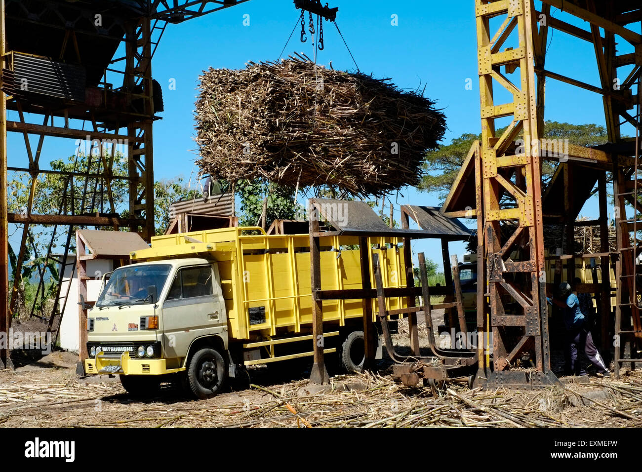 Raw sugar cane delivery unloading hi-res stock photography and images ...