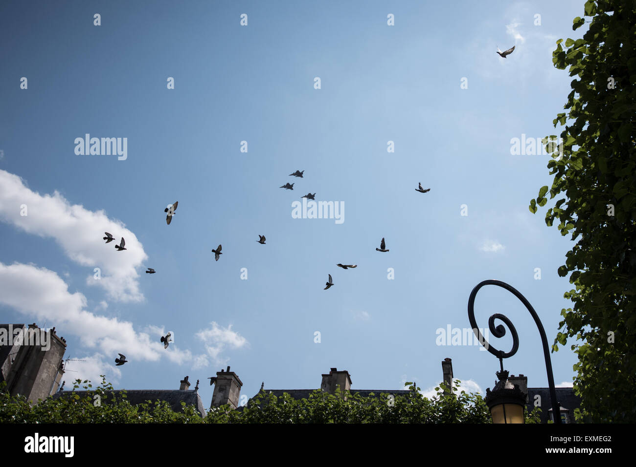 MIlitary planes fly over a park in Central Paris Stock Photo - Alamy