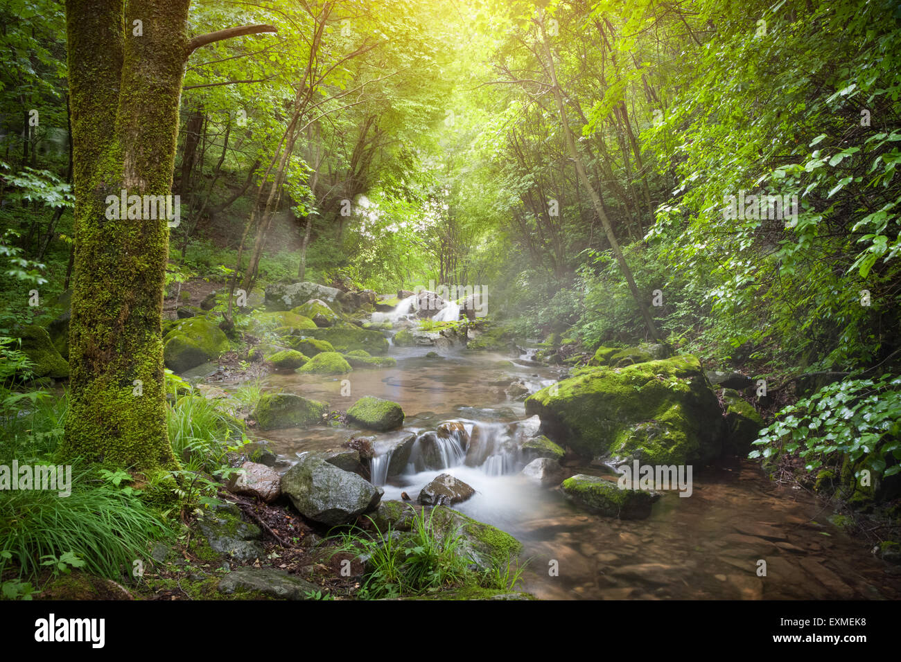 Stream waterfall in mountain forest hi-res stock photography and images ...