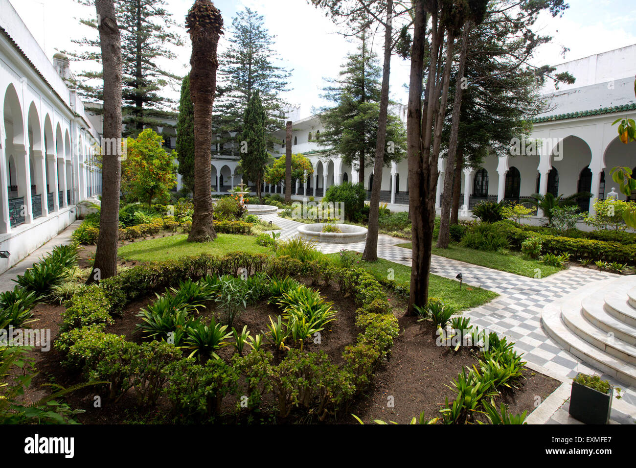Tangier morocco garden hi-res stock photography and images - Alamy