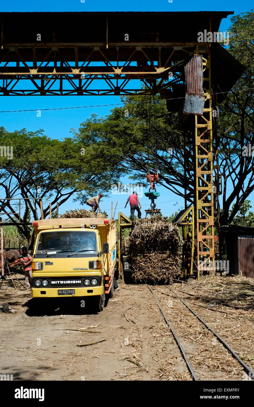 workers at a busy sugar cane processing factory using trucks and trains ...