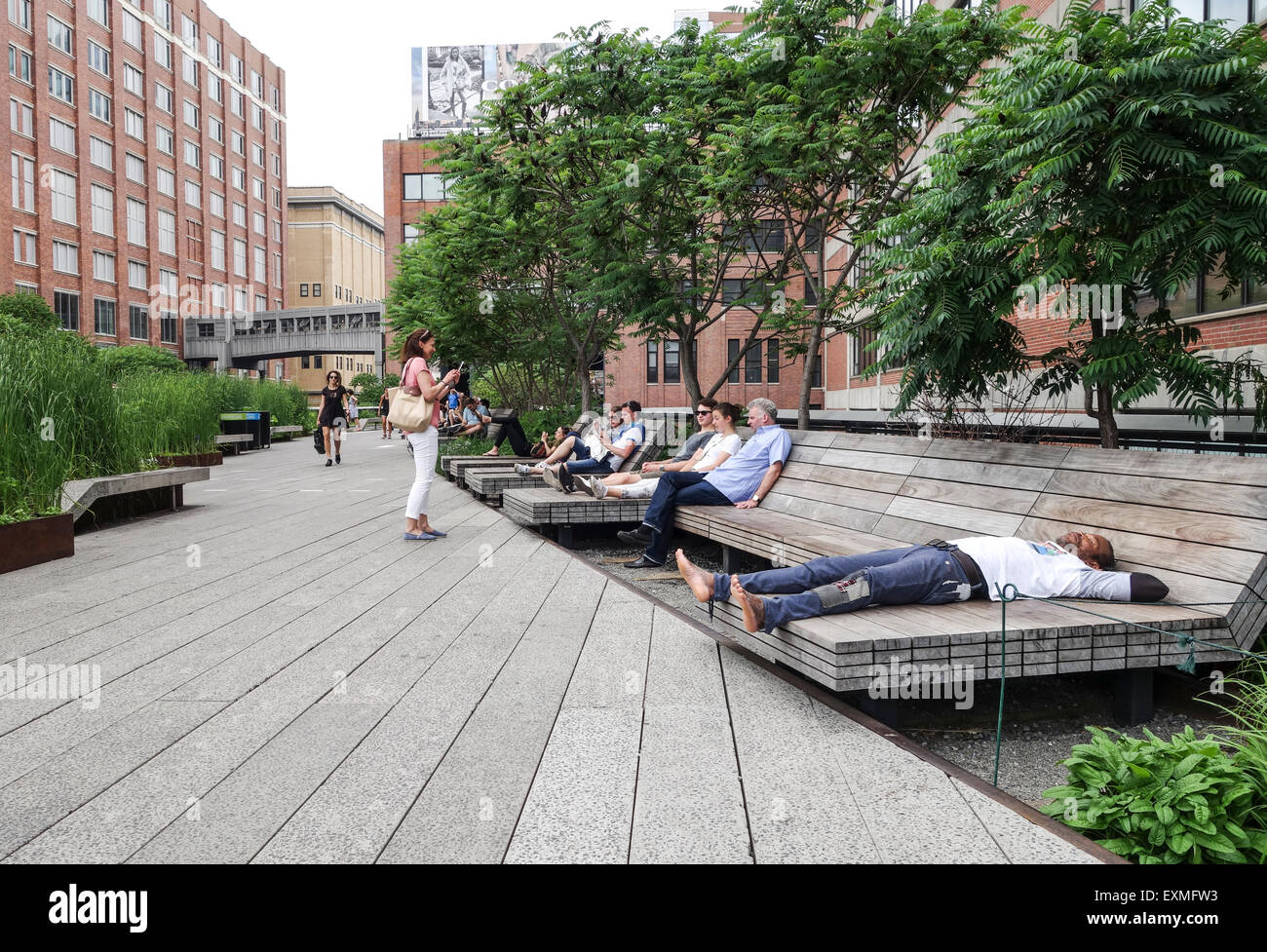 High line benches nyc hi-res stock photography and images - Alamy