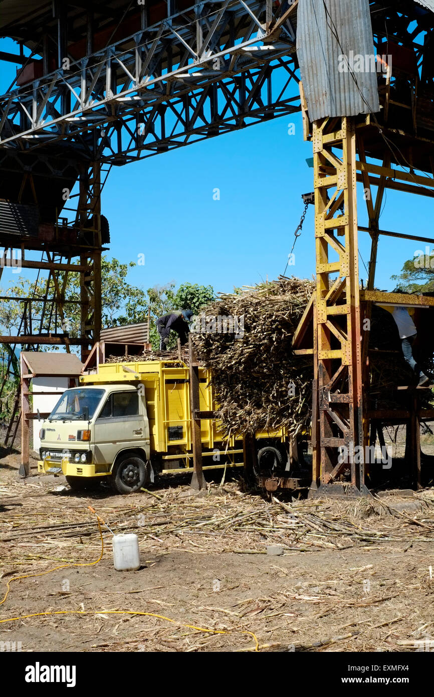 workers at a busy sugar cane processing factory using trucks and trains ...