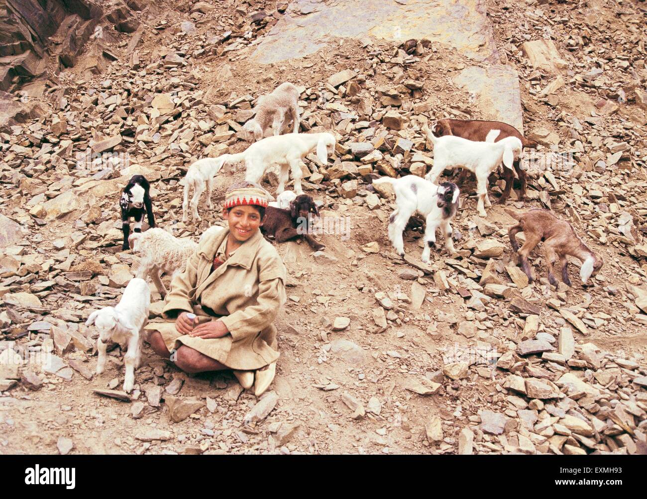 Shepherd ; Ladakh ; Kashmir ; India ; Asia ; Asian ; Indian Stock Photo ...