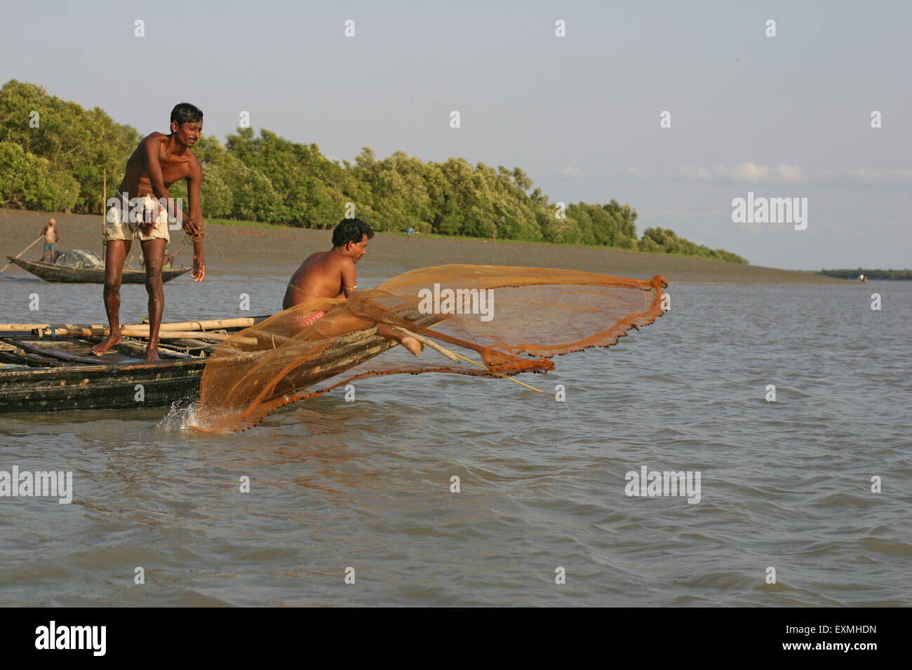 Fishermen casting fishing net ; Sundarban National Park ; Sundarbans ...