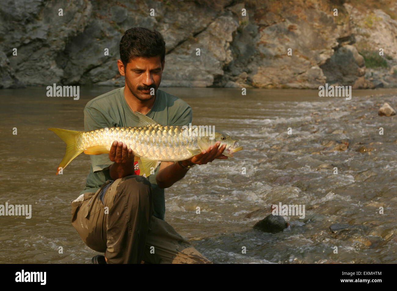 Mahseer fish and india hi-res stock photography and images - Alamy