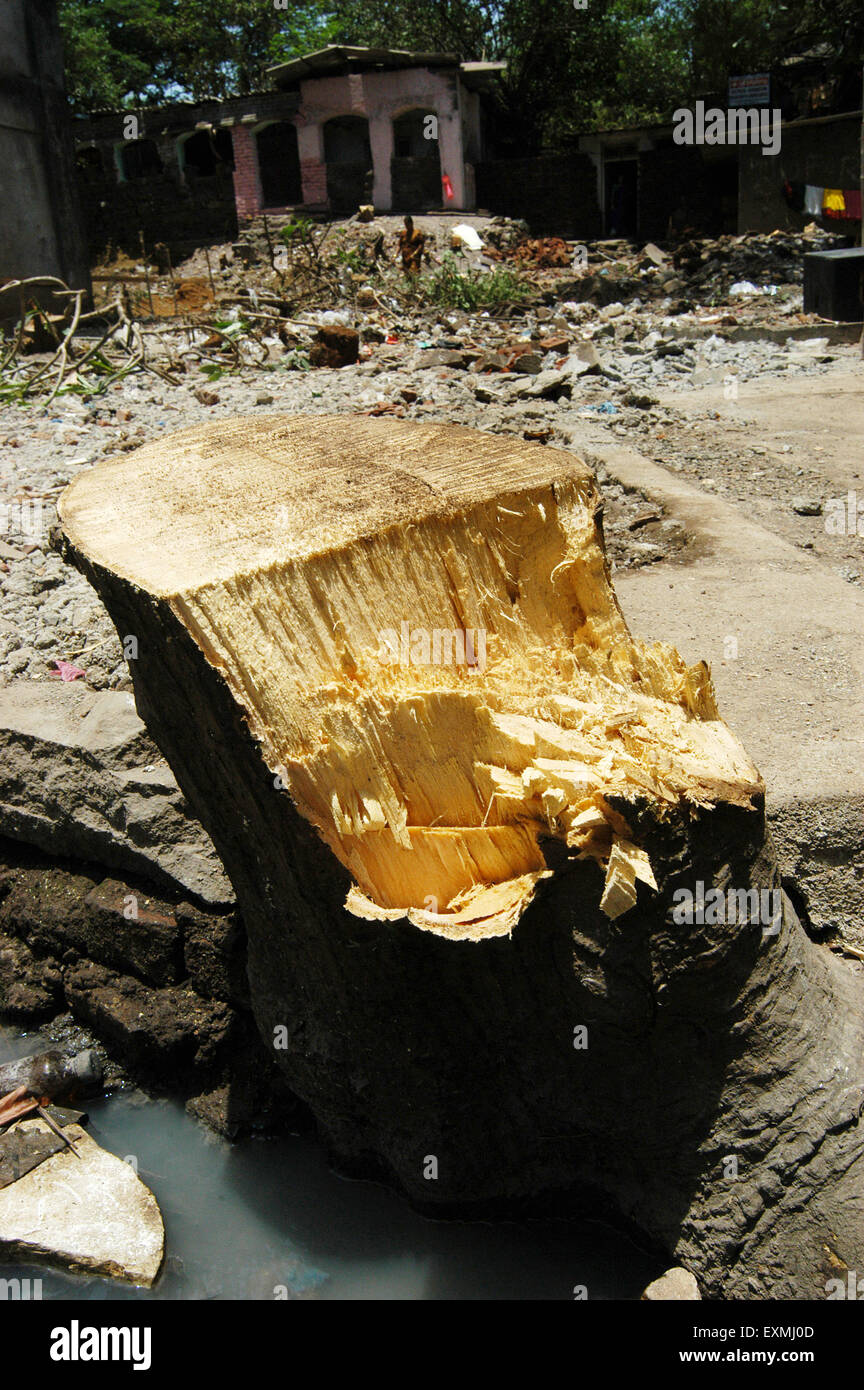 Cutting trees india deforestation hi-res stock photography and images ...