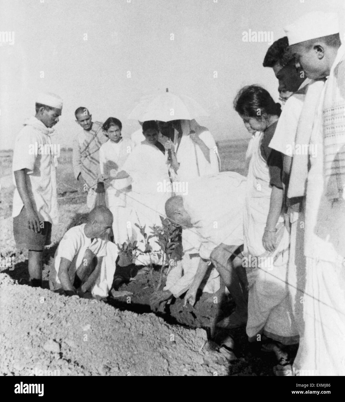 Tree planting india hi-res stock photography and images - Alamy