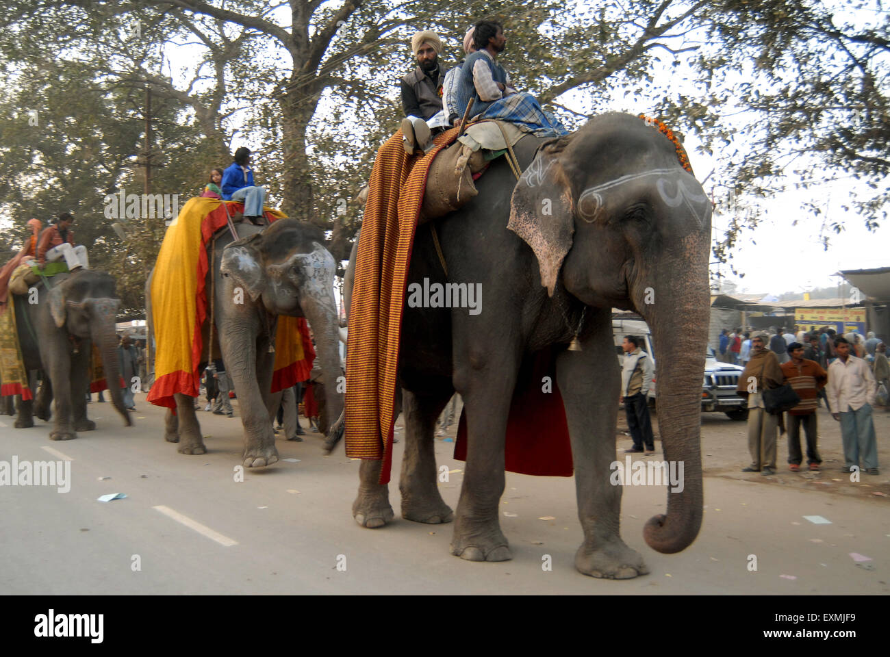 Elephant parade ; Ardh Kumbh Mela ; Kumbh Mela ; Kumbha Fair ; Sangam ...