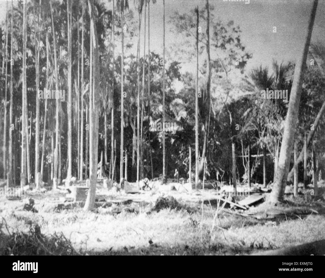 Destruction caused by riots between Hindus and Muslims in Noakhali East ...