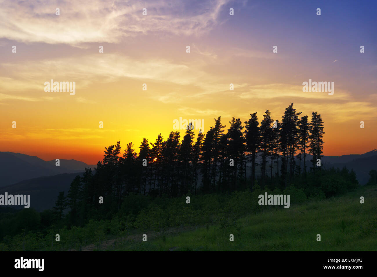 Pines and sunset hi-res stock photography and images - Alamy