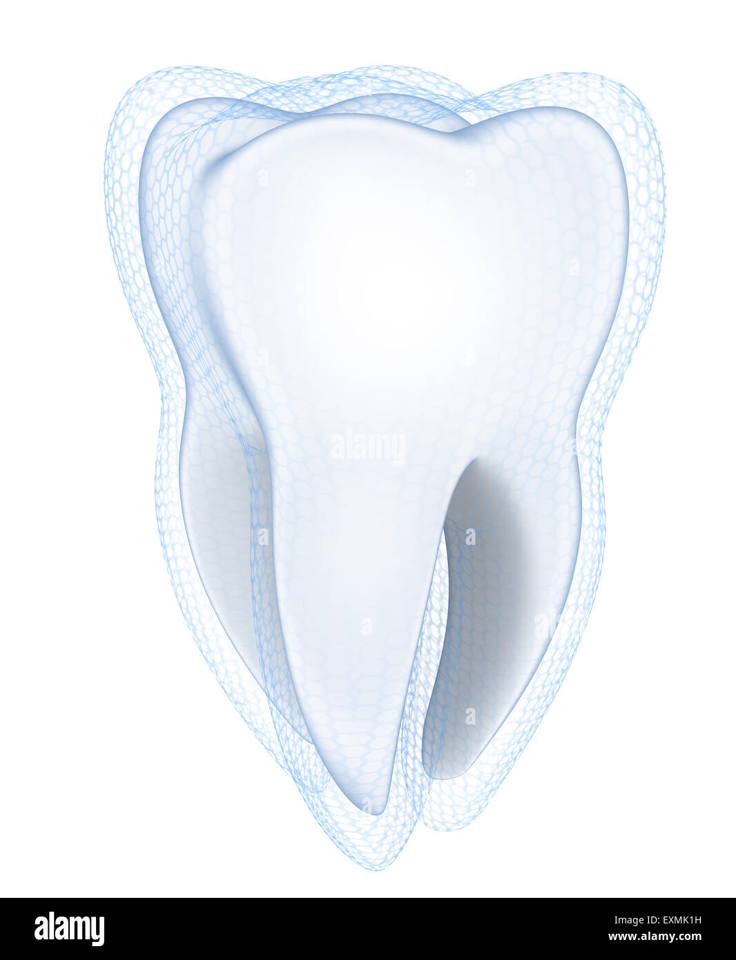 3d molar hi-res stock photography and images - Alamy