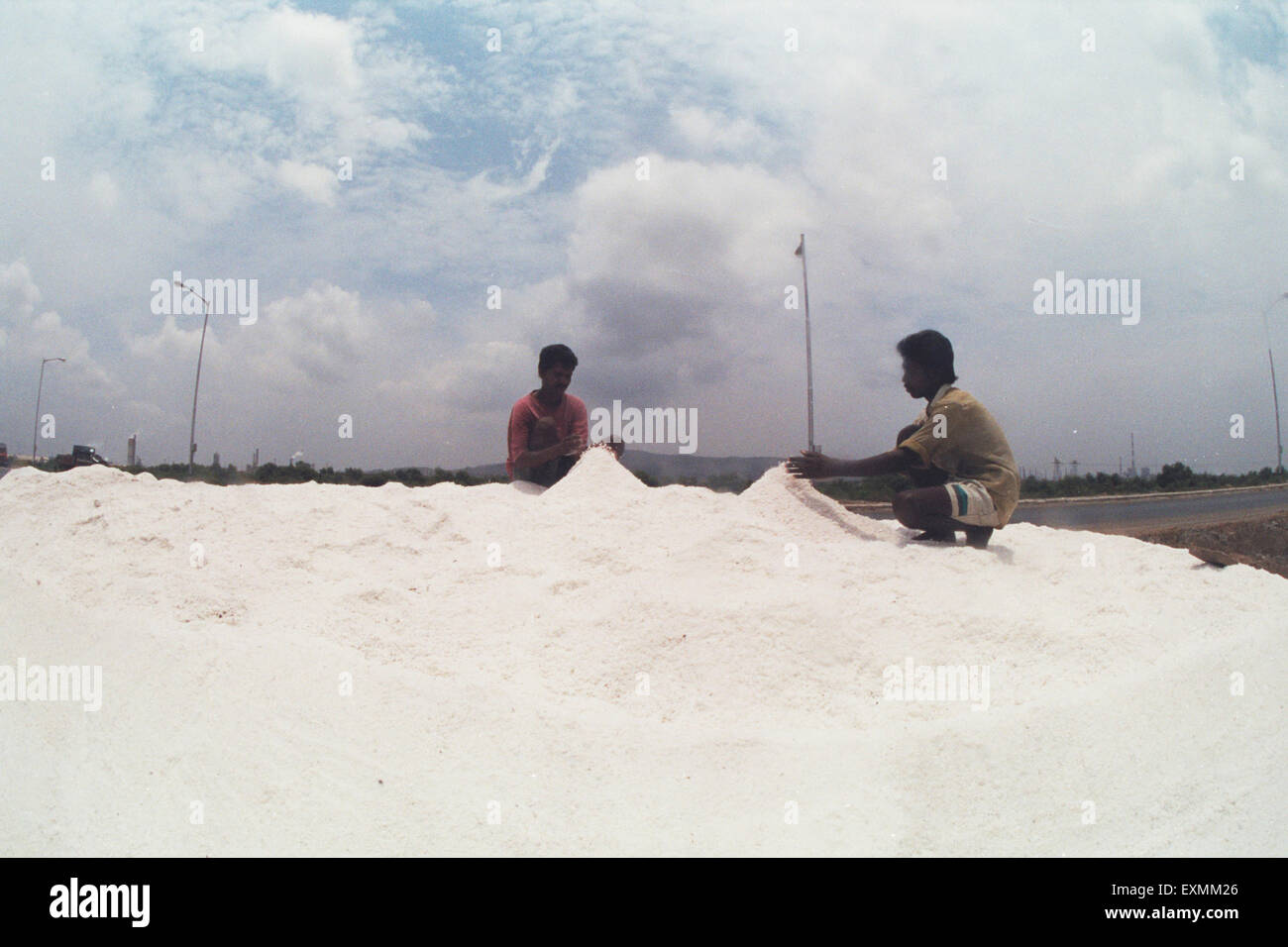 People working in salt pan, Bombay, Mumbai, Maharashtra, India, Asia ...