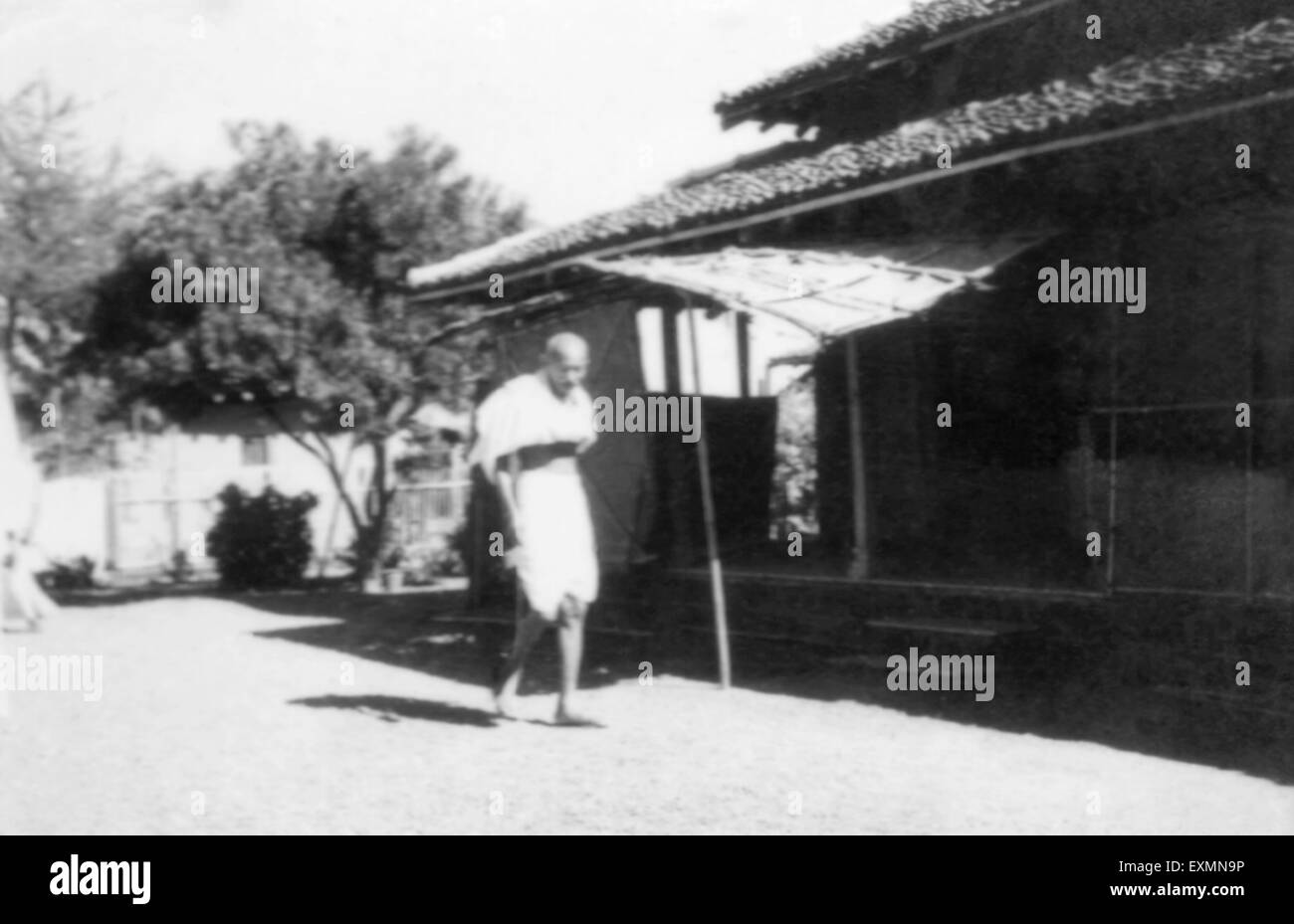 Mahatma Gandhi ; walking at Sevagram Ashram ; 1940 ; India Stock Photo ...
