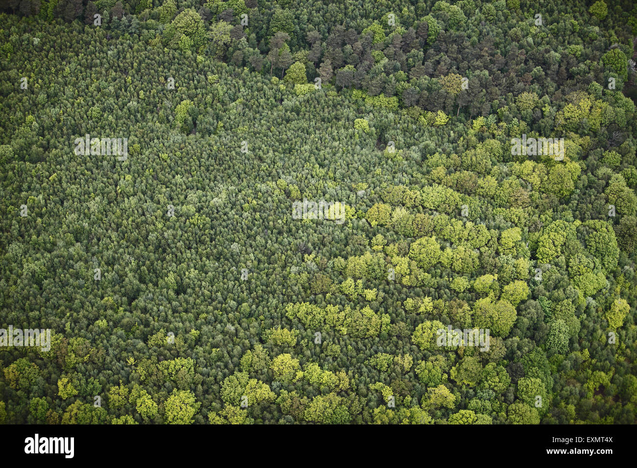 Aerial photograph from a microlight, a lightweight modern airplane ...