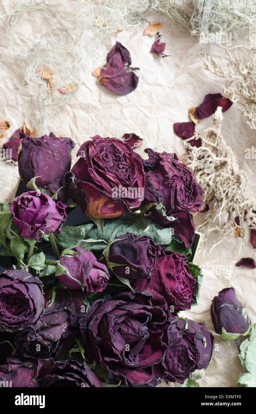 composition of dried rose flowers Stock Photo - Alamy