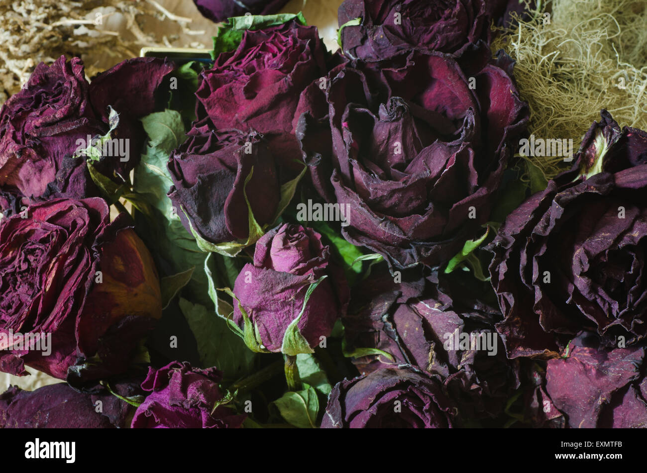composition of dried rose flowers Stock Photo - Alamy