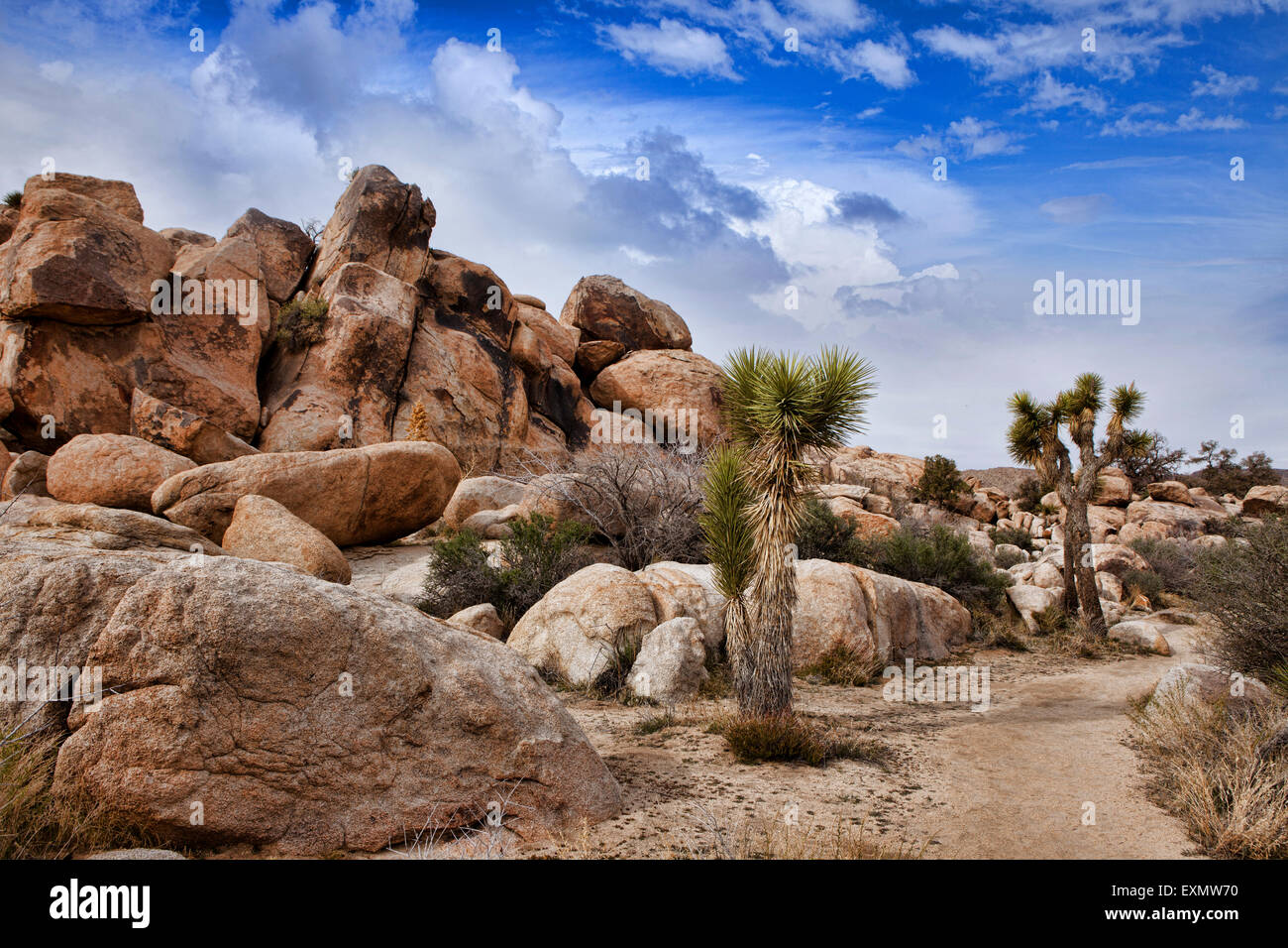 Wilderness wall street mine hi-res stock photography and images - Alamy