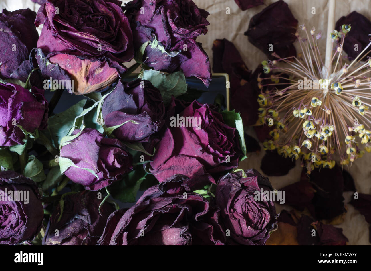 Dried rose flowers hi-res stock photography and images - Alamy