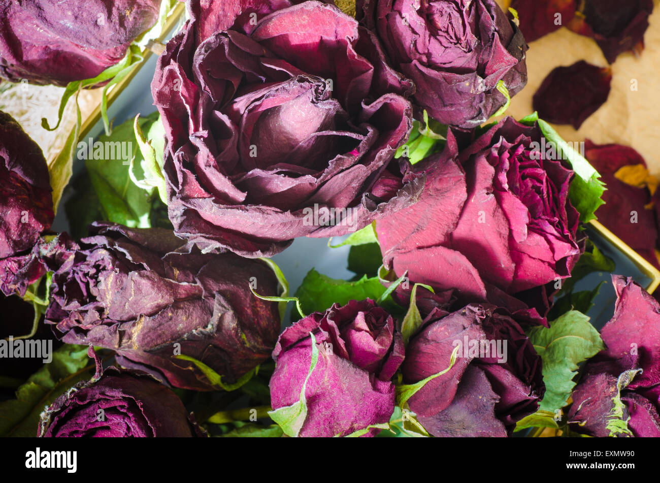 composition of dried rose flowers Stock Photo - Alamy