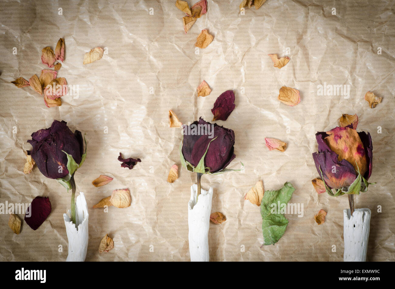 composition of dried rose flowers Stock Photo - Alamy