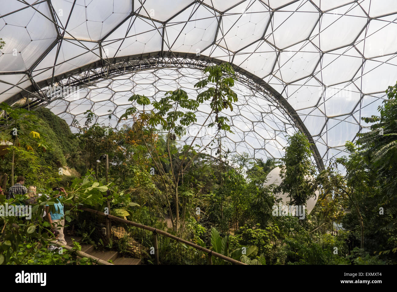 Eden project, Cornwall, England. Top view in rainforest biome Stock ...