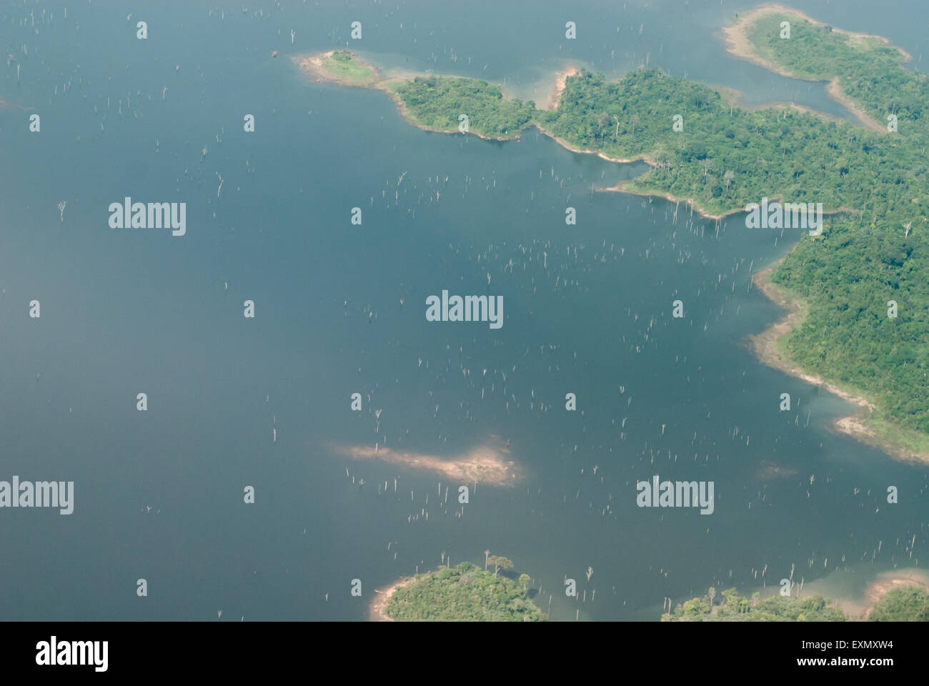Tucurui, Para State. Tucurui reservoir with dead trees Stock Photo - Alamy