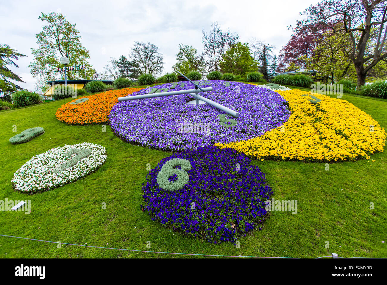 Switzerland Geneva flower Stock Photo - Alamy